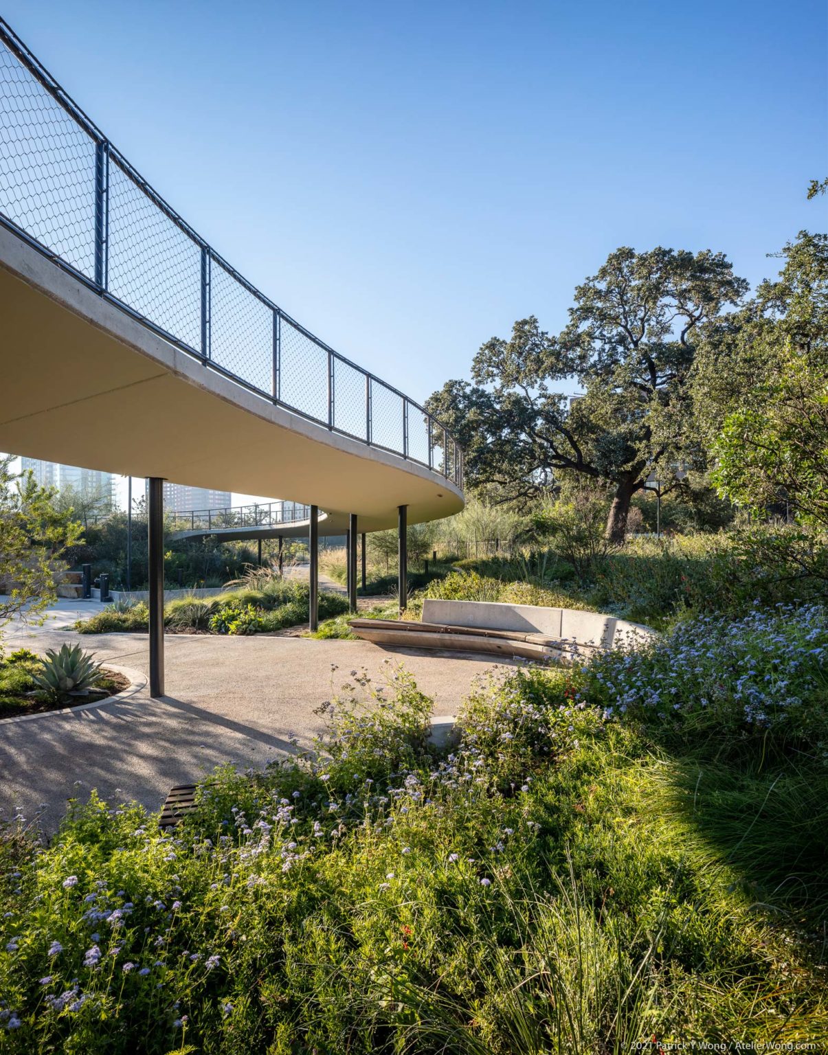 Waterloo Park – Guide To Austin Architecture